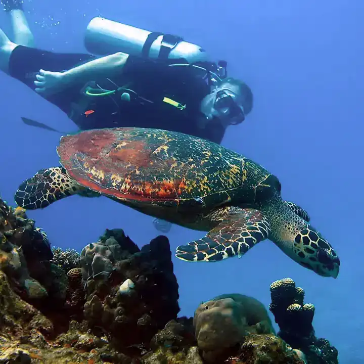 100 Degrees East Marine Team | mate.travel